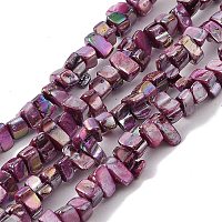 Wholesale Shell Beads for Jewelry Making - Pandahall.com