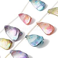 Wholesale Shell Beads for Jewelry Making - Pandahall.com