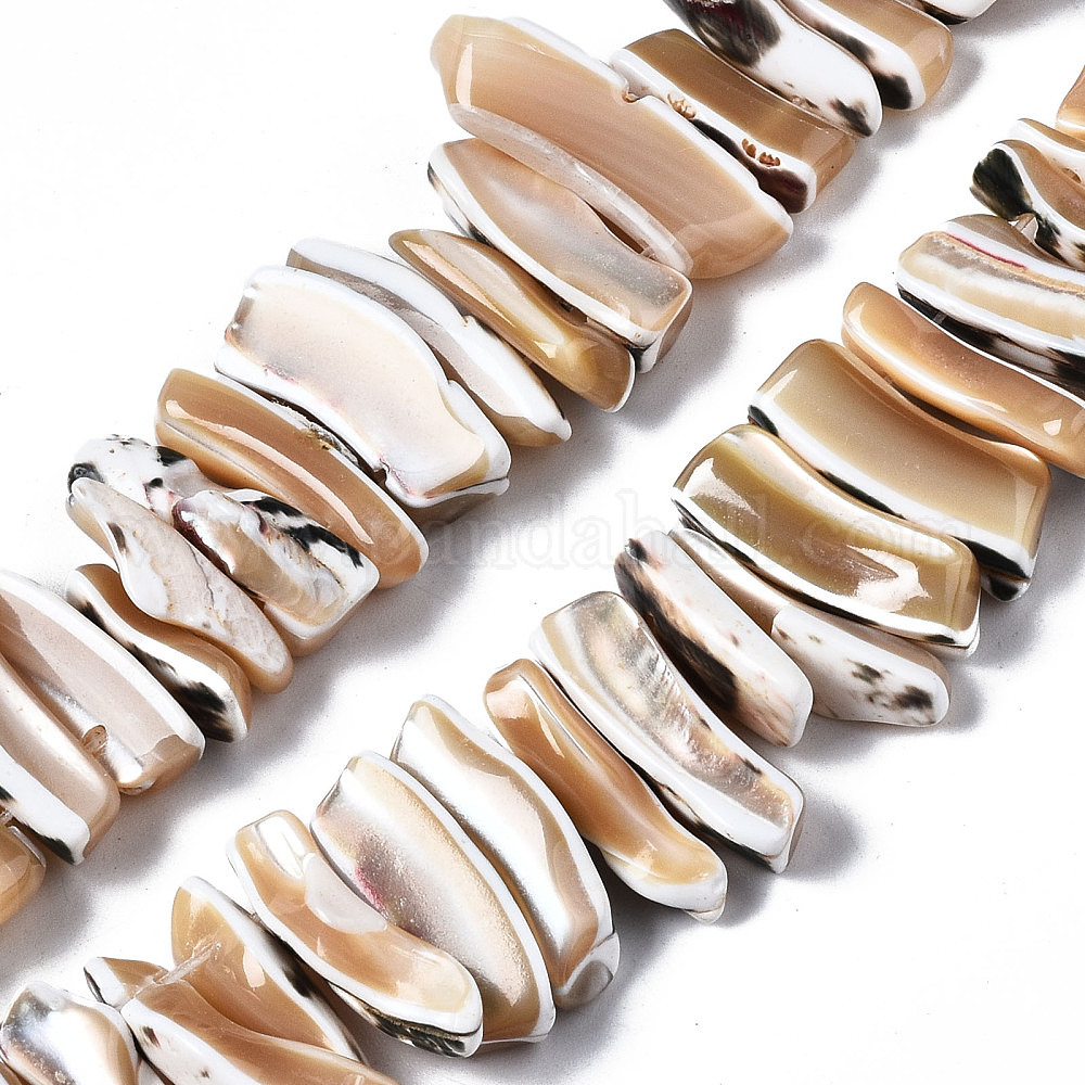 Wholesale Natural Trochid Shell/Trochus Shell Beads Strands - Pandahall.com