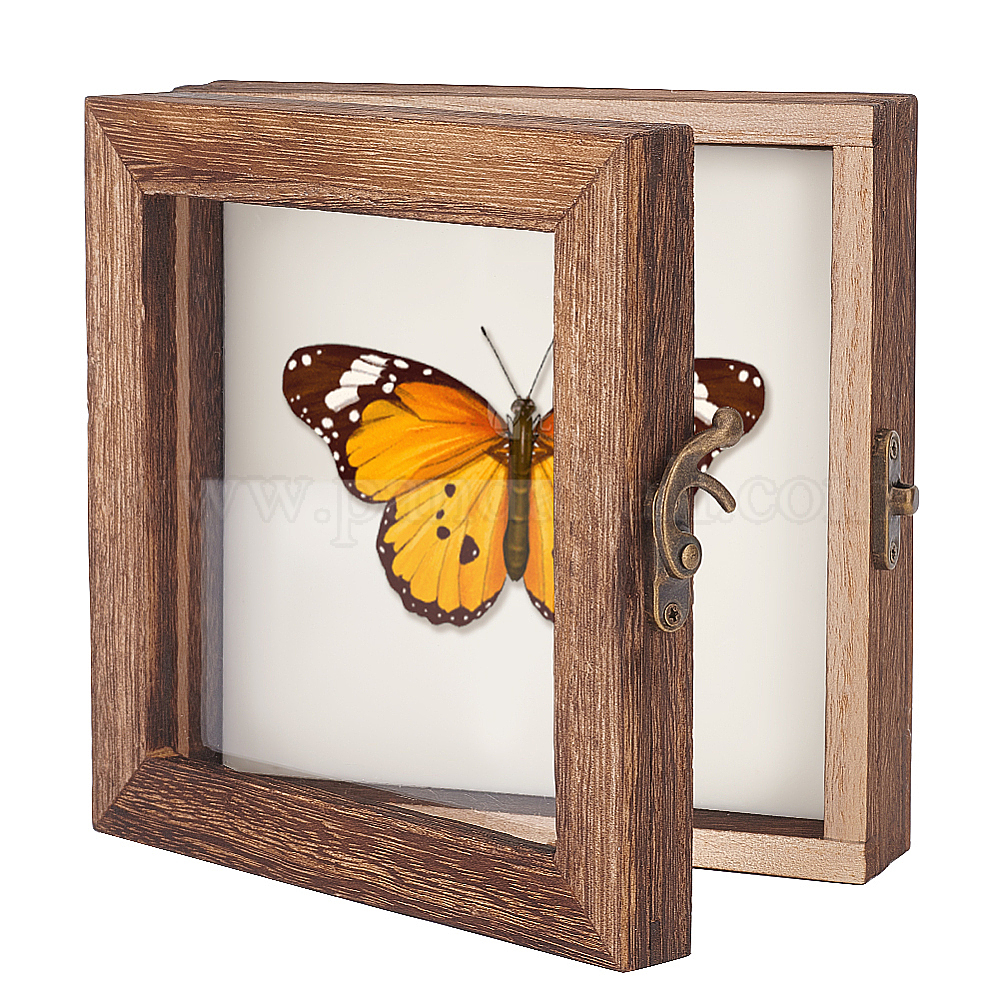 Wholesale AHANDMAKER Insect Display Case Shadow Box for Insect Display ...