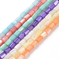 Wholesale Shell Beads for Jewelry Making - Pandahall.com, P2, 60